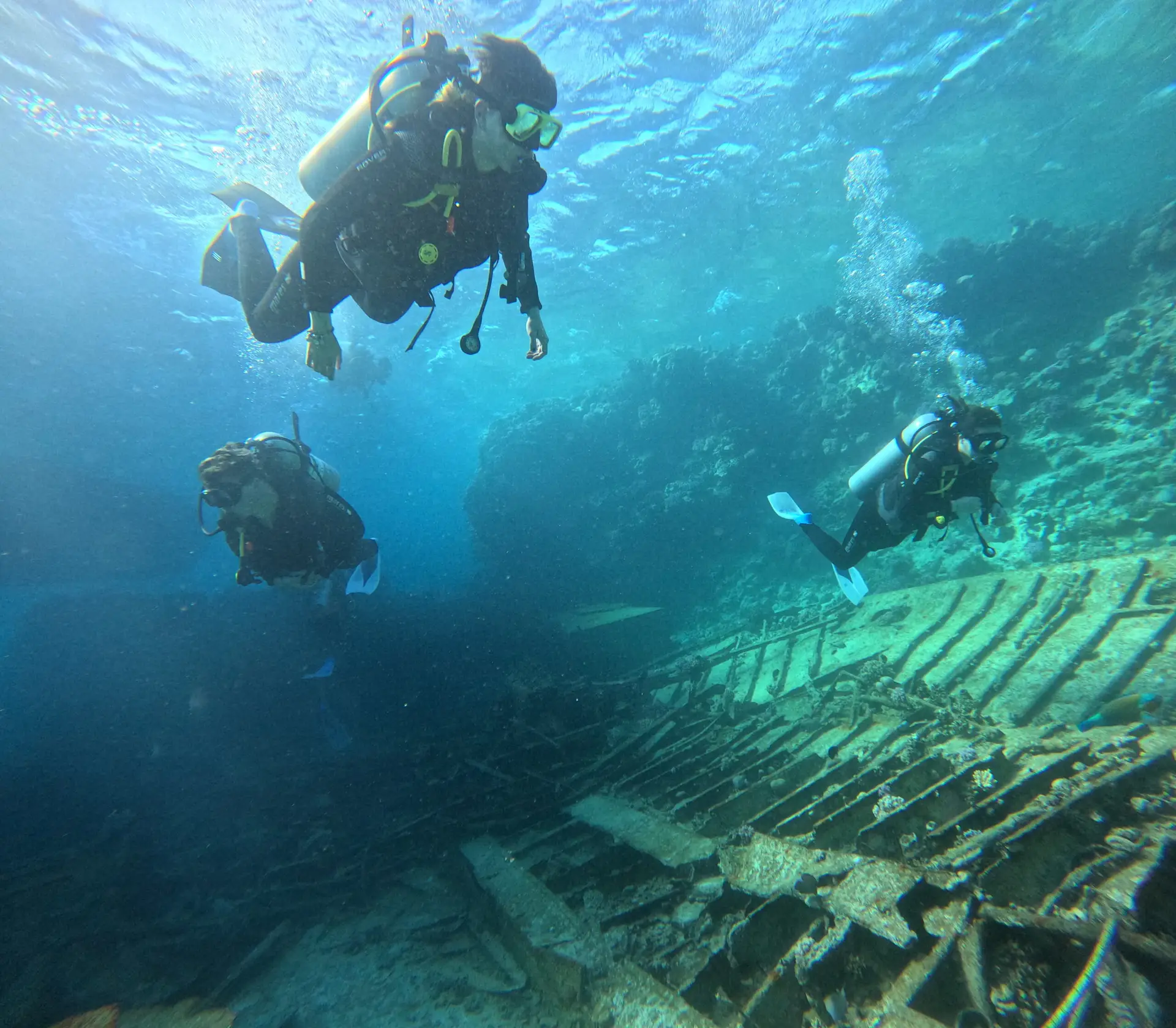 DIVE MASTER - White Whale Diving Center